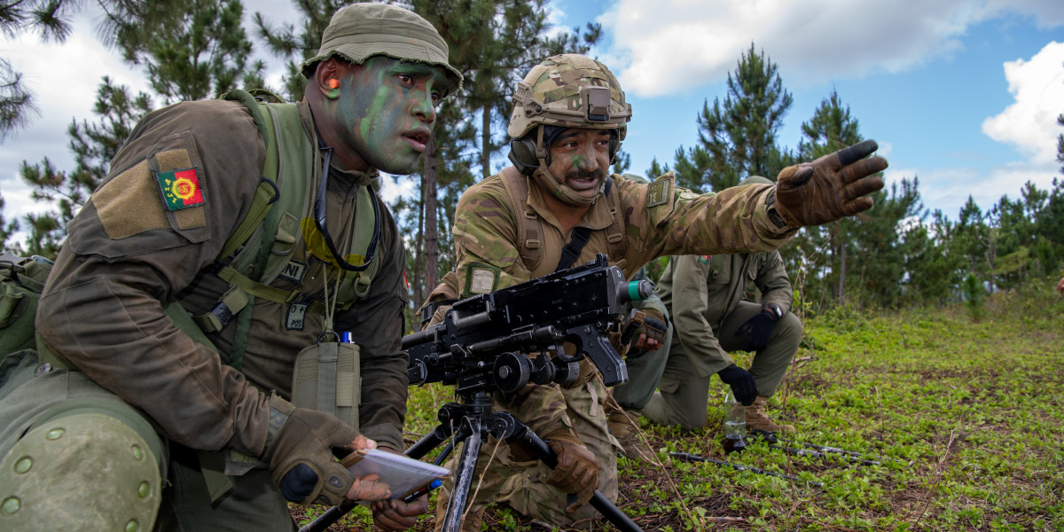 Mutual Assistance Programme - New Zealand Defence Force