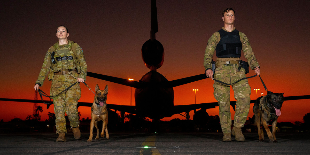 Exercise heating up for Military Working Dogs - New Zealand Defence Force