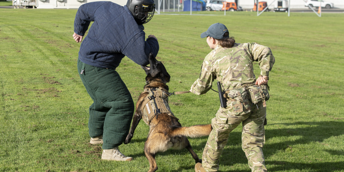 Base Commander tests dog’s bite - New Zealand Defence Force
