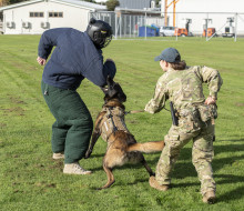 NZDF - New Zealand Defence Force