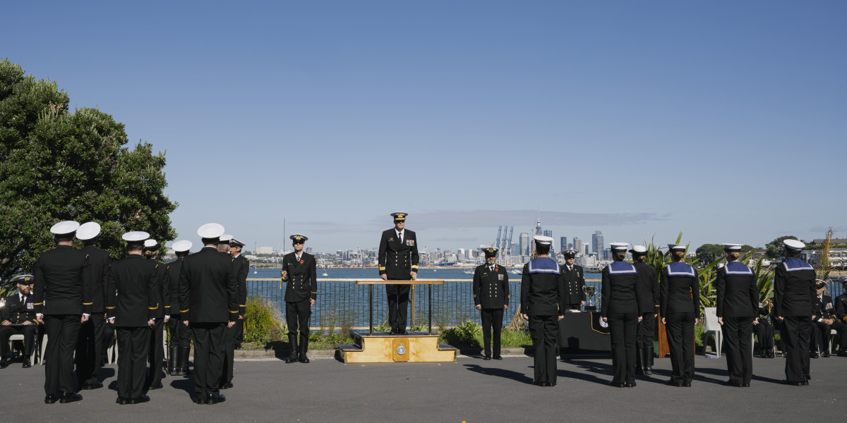 Professionals boost the Navy Reserve Force - New Zealand Defence Force