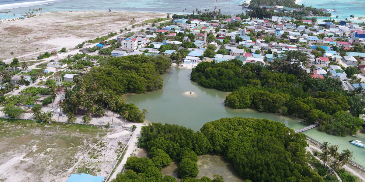 NZDF sparks mangrove-planting project in Maldives - New Zealand Defence ...