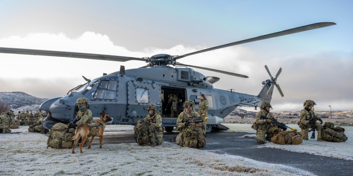 Reserve Force soldiers hone their combat skills in annual Waiouru ...
