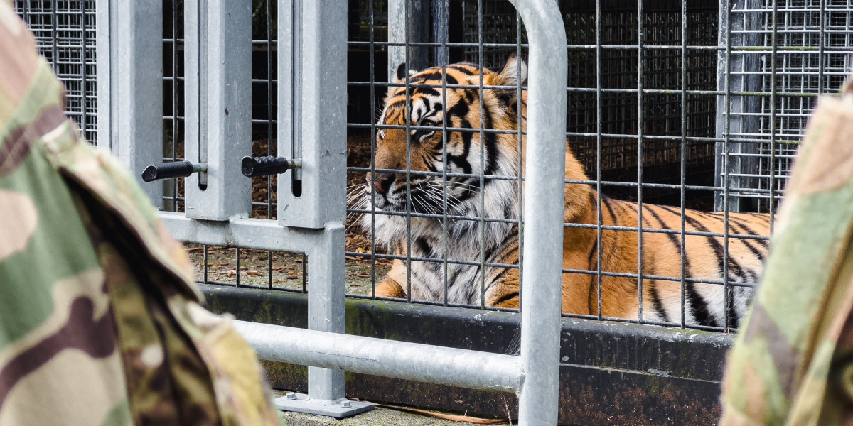 Military Dog handlers learn from the best at Wellington Zoo - New ...