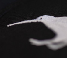 NZDF - New Zealand Defence Force