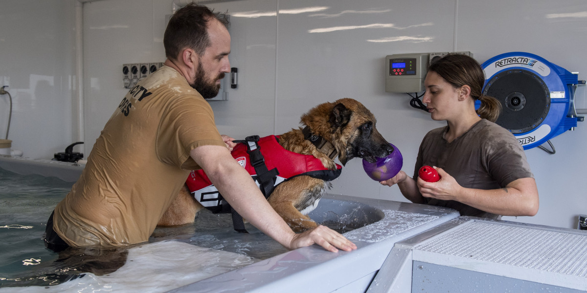 New Military Working Dog facility opens in Ohakea - New Zealand Defence ...