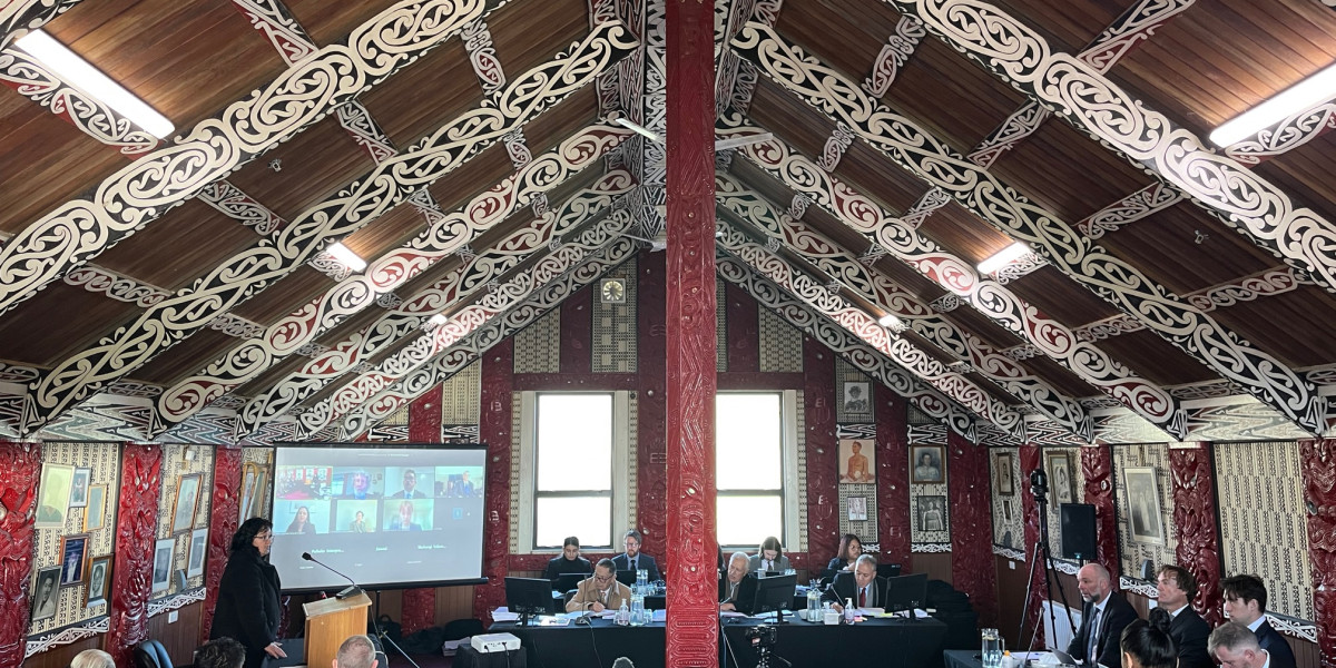 NZDF listening to experience of Māori Military Veterans at Tribunal ...